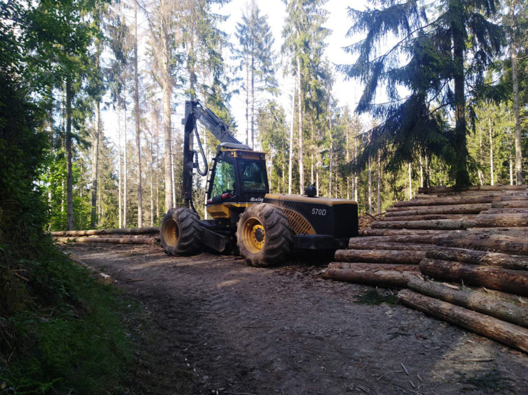 Skyline Logging – Schonende Holzernte