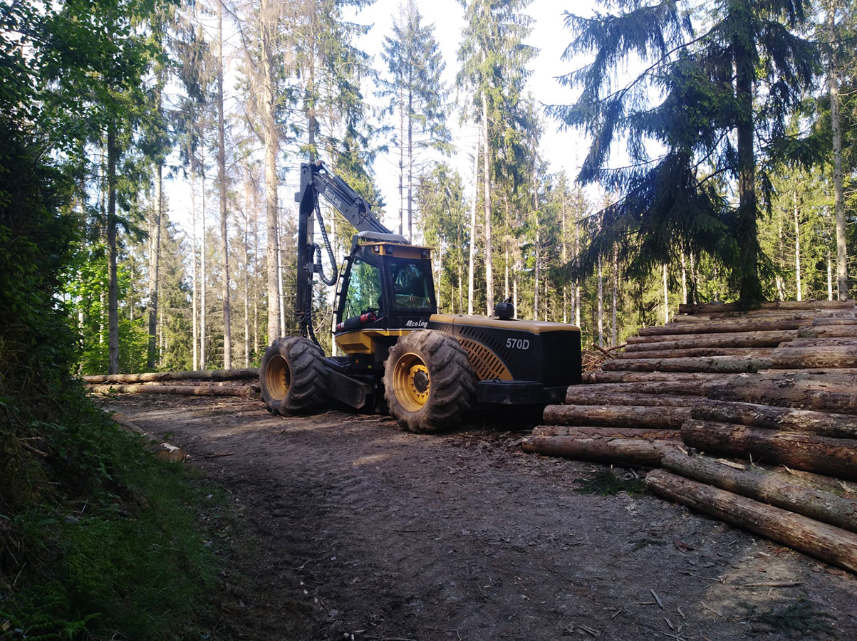 Skyline Logging – Schonende Holzernte